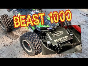 Beast 1000 1/5th Scale Servo REEFS102 – Reefs RC